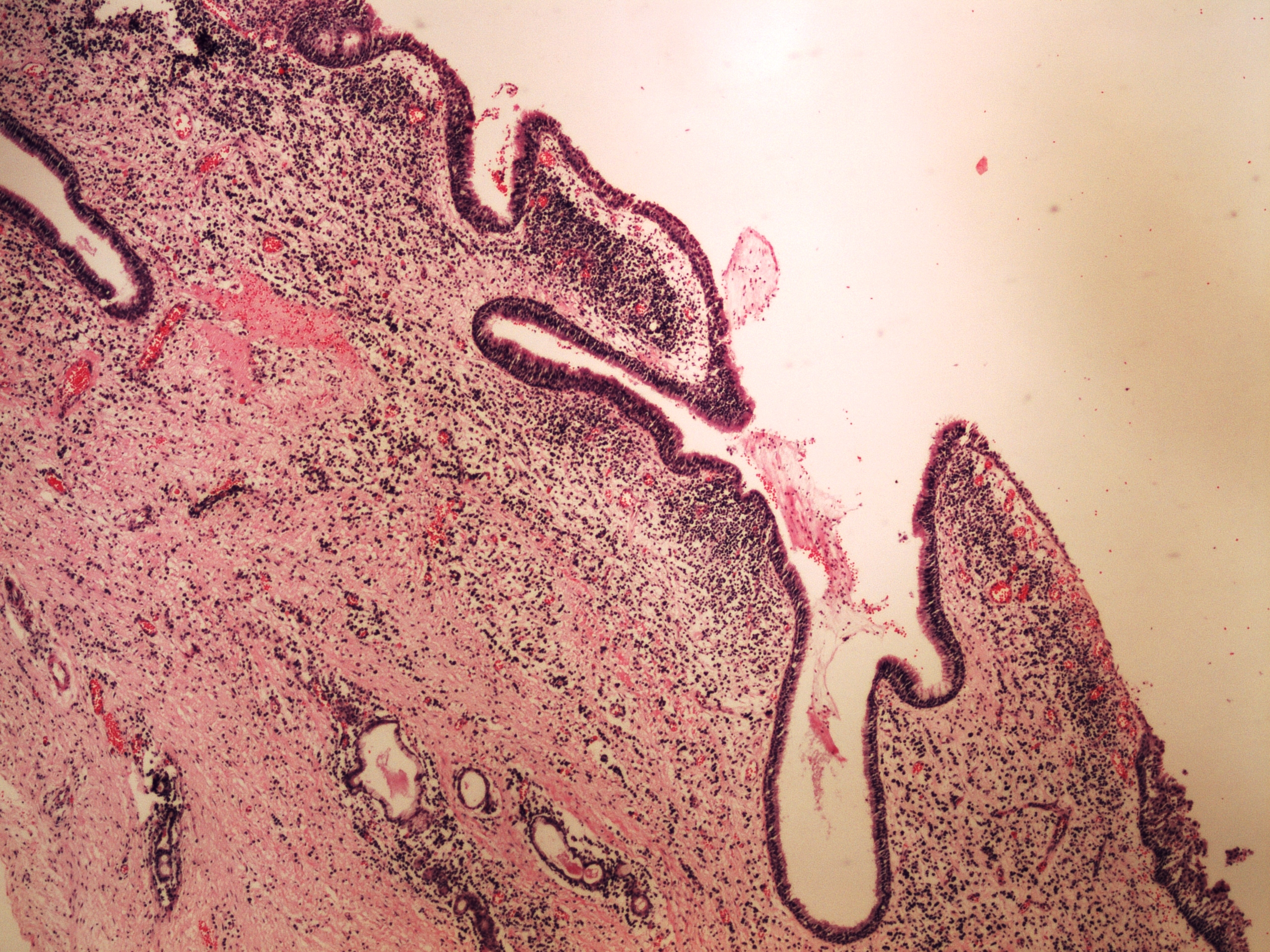 Modul OZPP - Praktikum č. 3 (zoom) – WikiSkripta