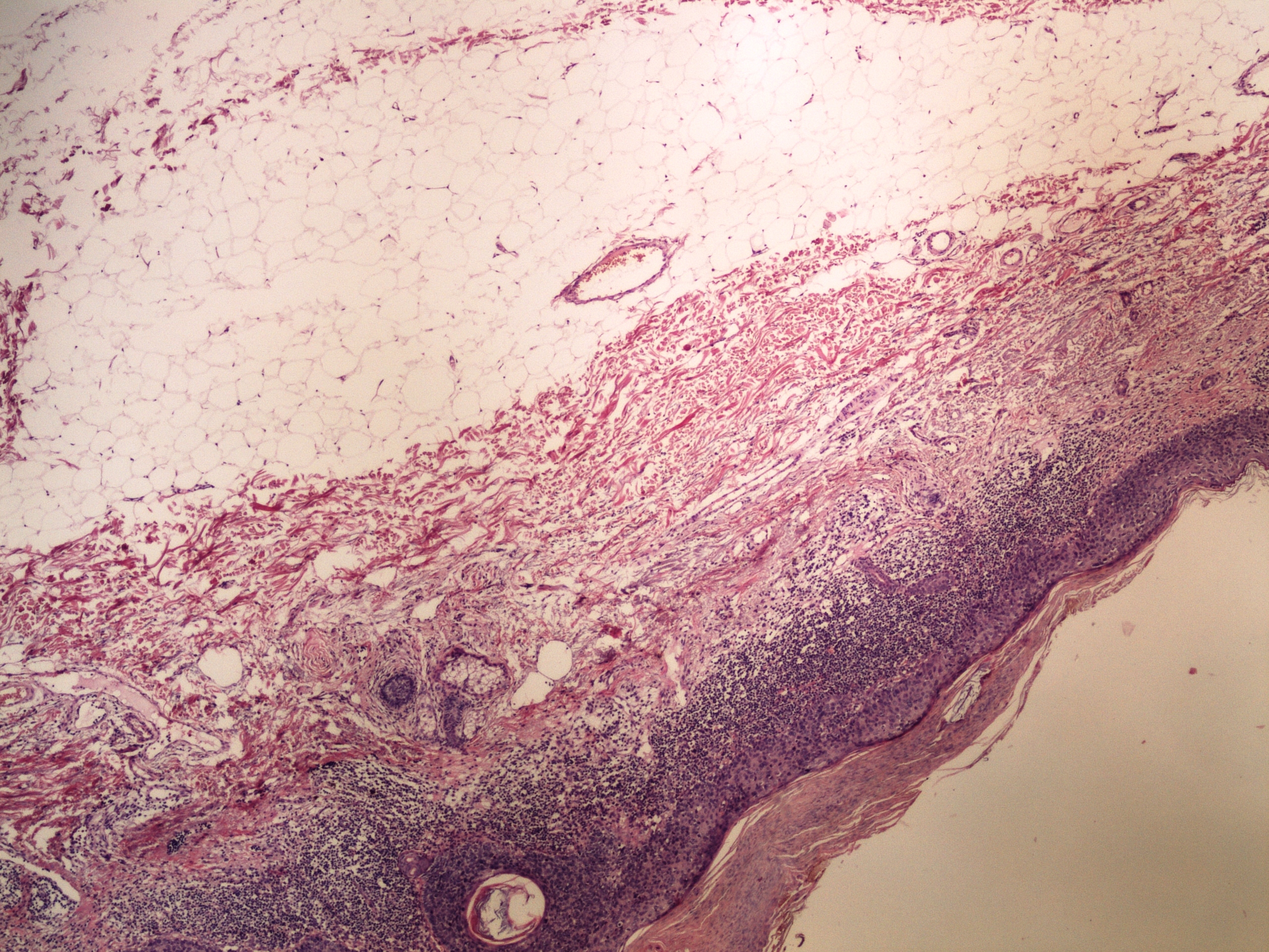 Modul OZPP - Praktikum č. 9 (zoom) – WikiSkripta