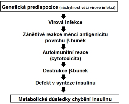 Poruchy metabolismu glukózy – WikiSkripta