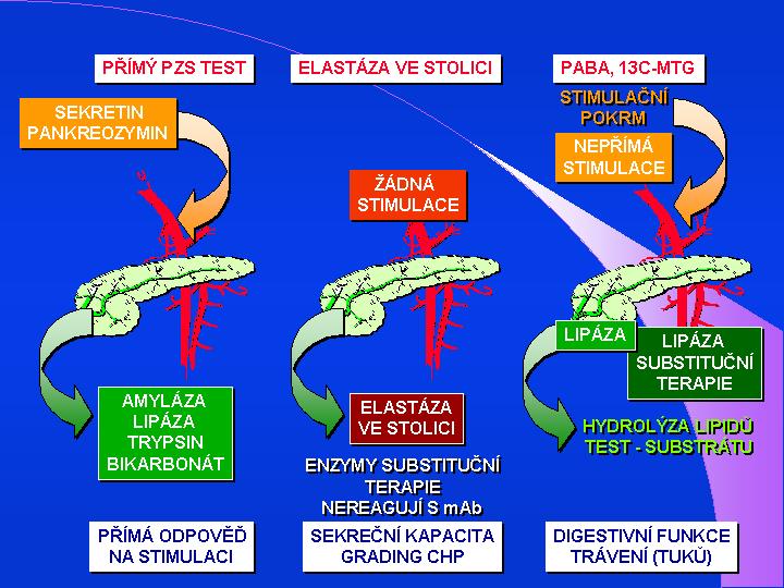 Nepřímé testy exokrinní funkce pankreatu – WikiSkripta