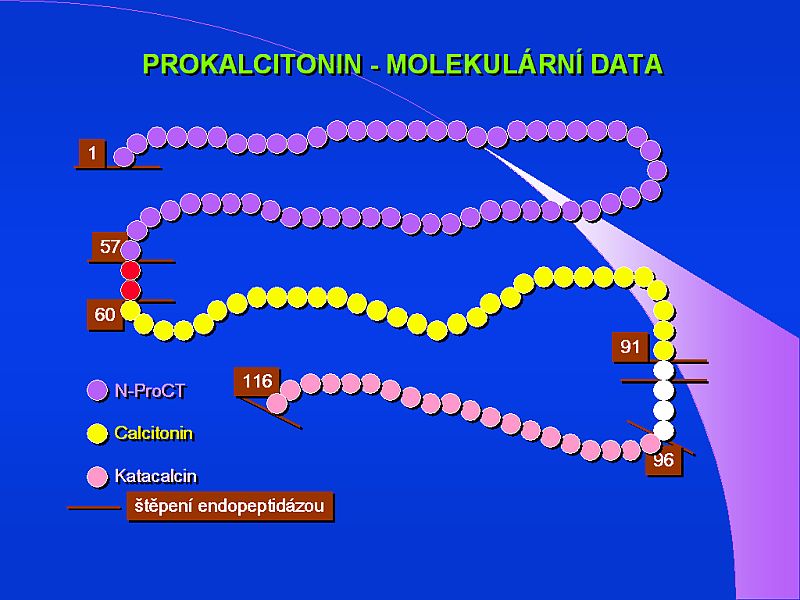 Prokalcitonin – WikiSkripta