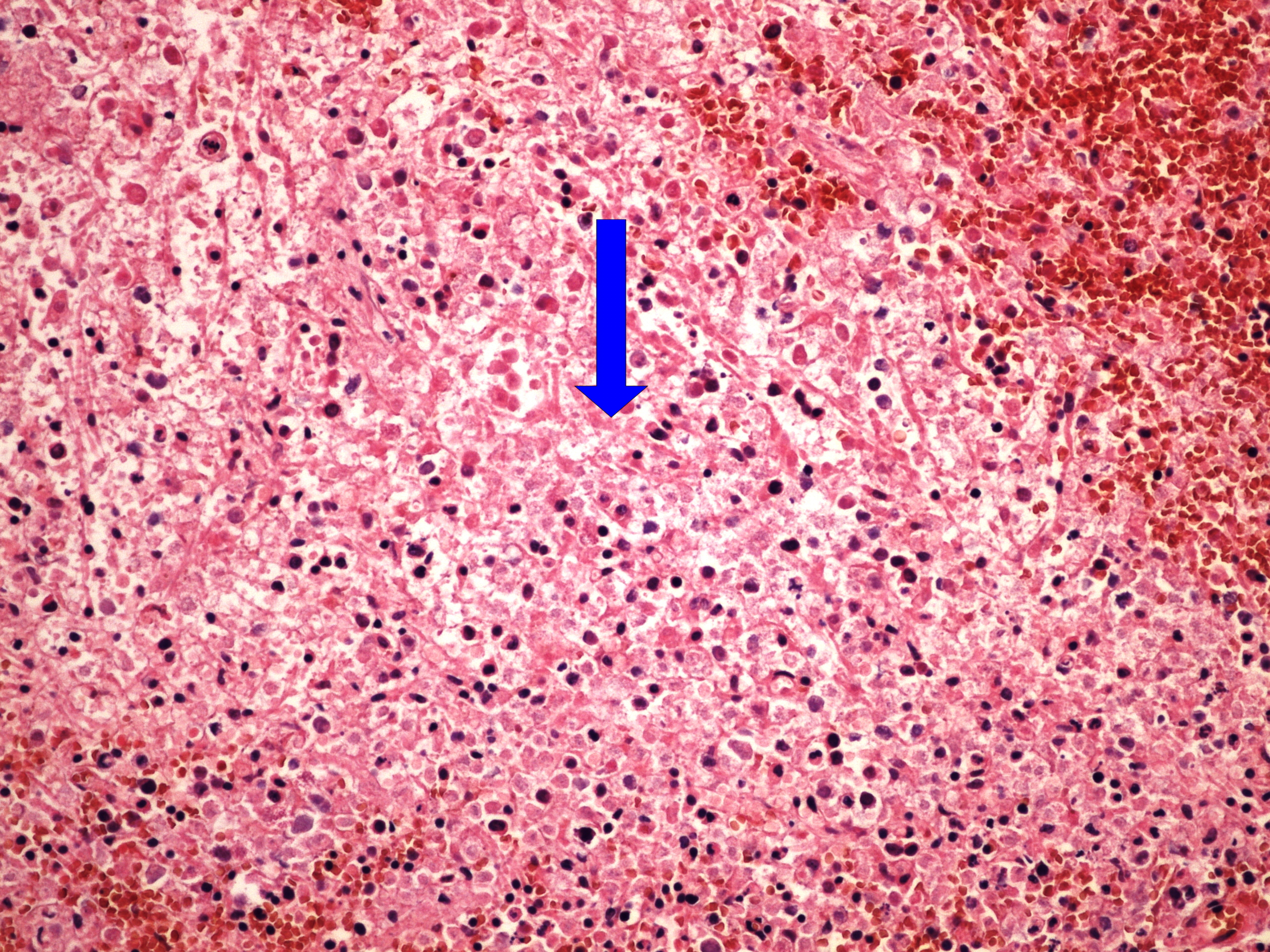 Modul OZPP - Praktikum č. 2 (zoom) – WikiSkripta