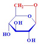 Sacharidy (1. LF UK, NT) – WikiSkripta