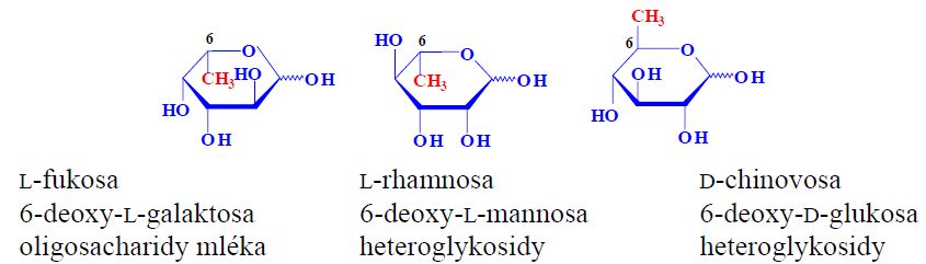 Sacharidy (1. LF UK, NT) – WikiSkripta