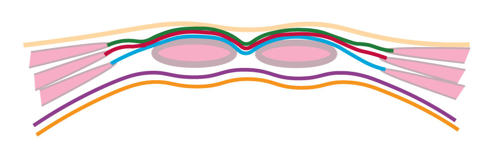 Uživatel:Ondra D/Pískoviště – WikiSkripta