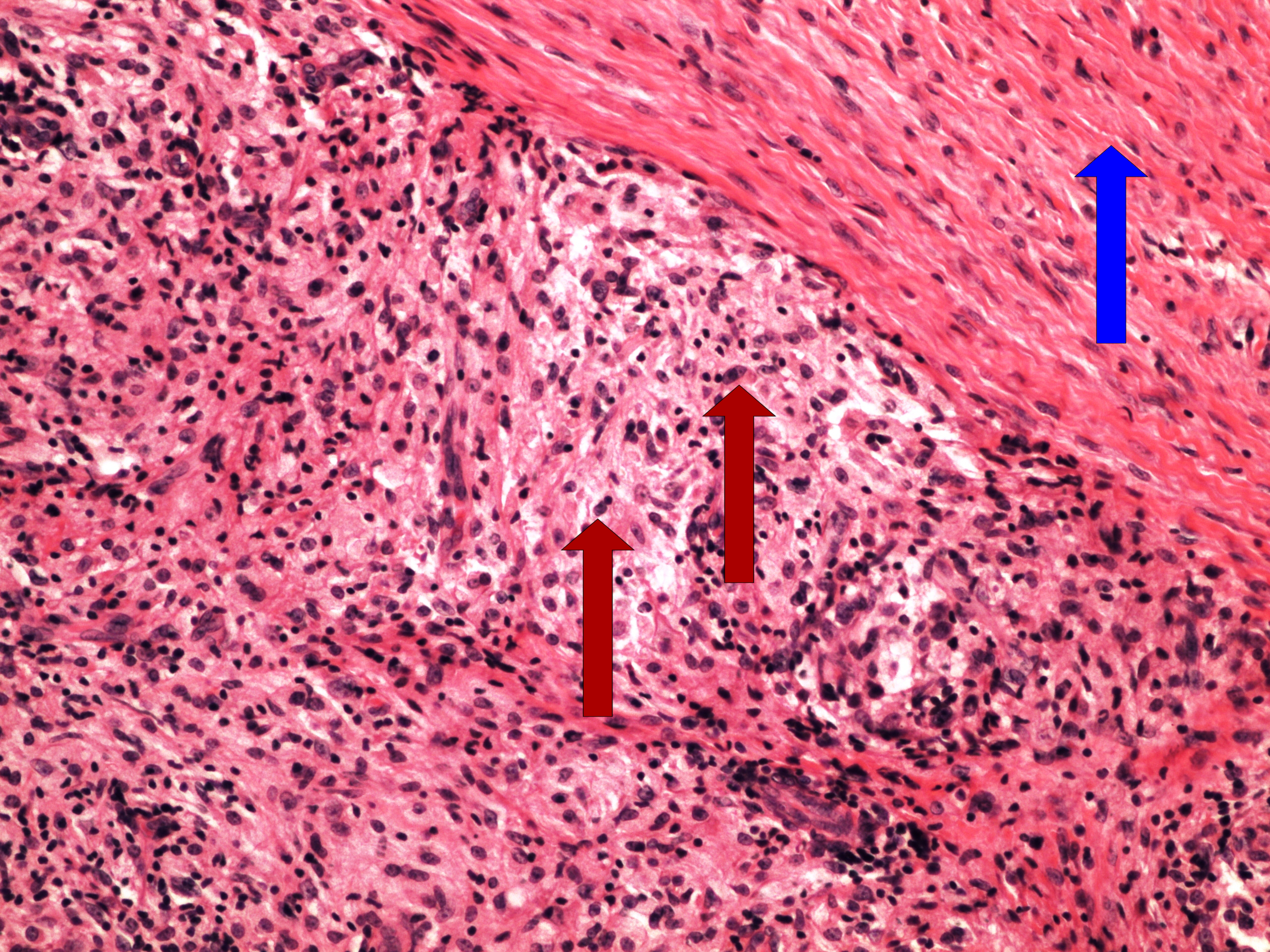 Modul OZPP - Praktikum č. 3 (zoom) – WikiSkripta