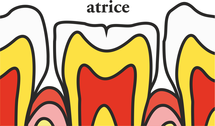 Atrice – WikiSkripta