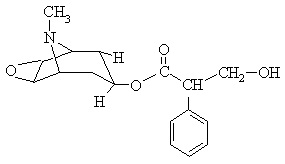 Halucinogeny – WikiSkripta