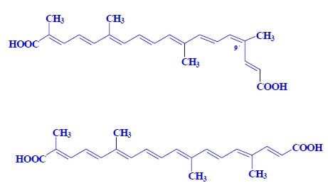 Karotenová barviva – WikiSkripta