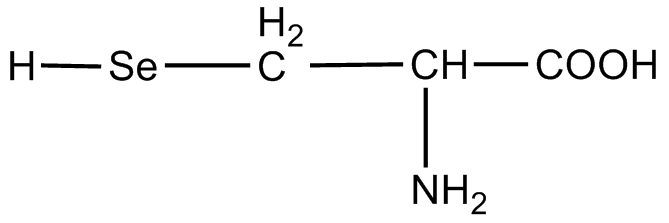 Selenocystein – WikiSkripta
